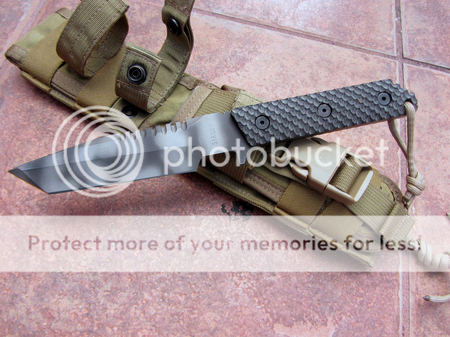 Strider VB GG | BladeForums.com