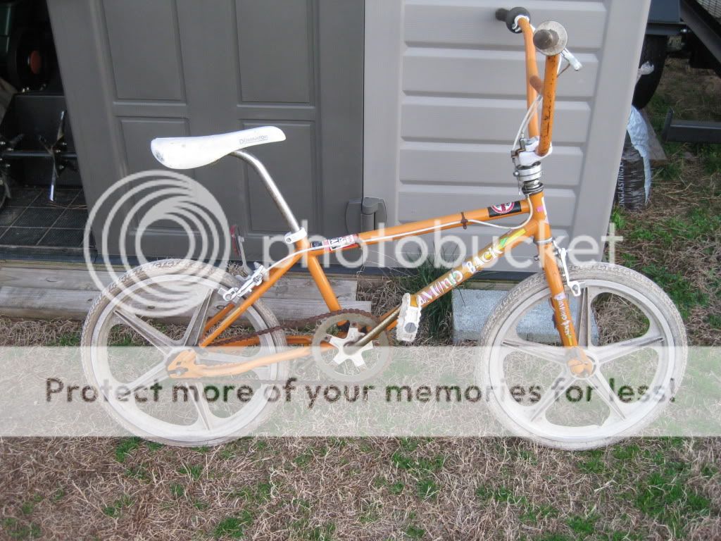 Diamondback Mike Dominguez Hot Streak find - BMXmuseum.com Forums